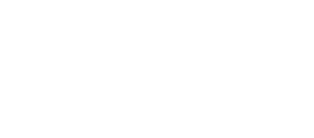 NANSE