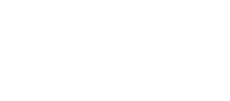 NANSE